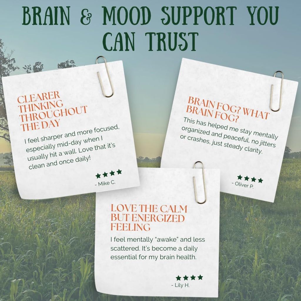Adaptogenic Lion's Mane capsules for stress relief