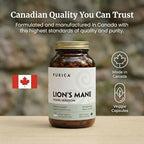adaptogenic lion's mane for stress relief