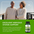 adaptogenic lion's mane for stress relief