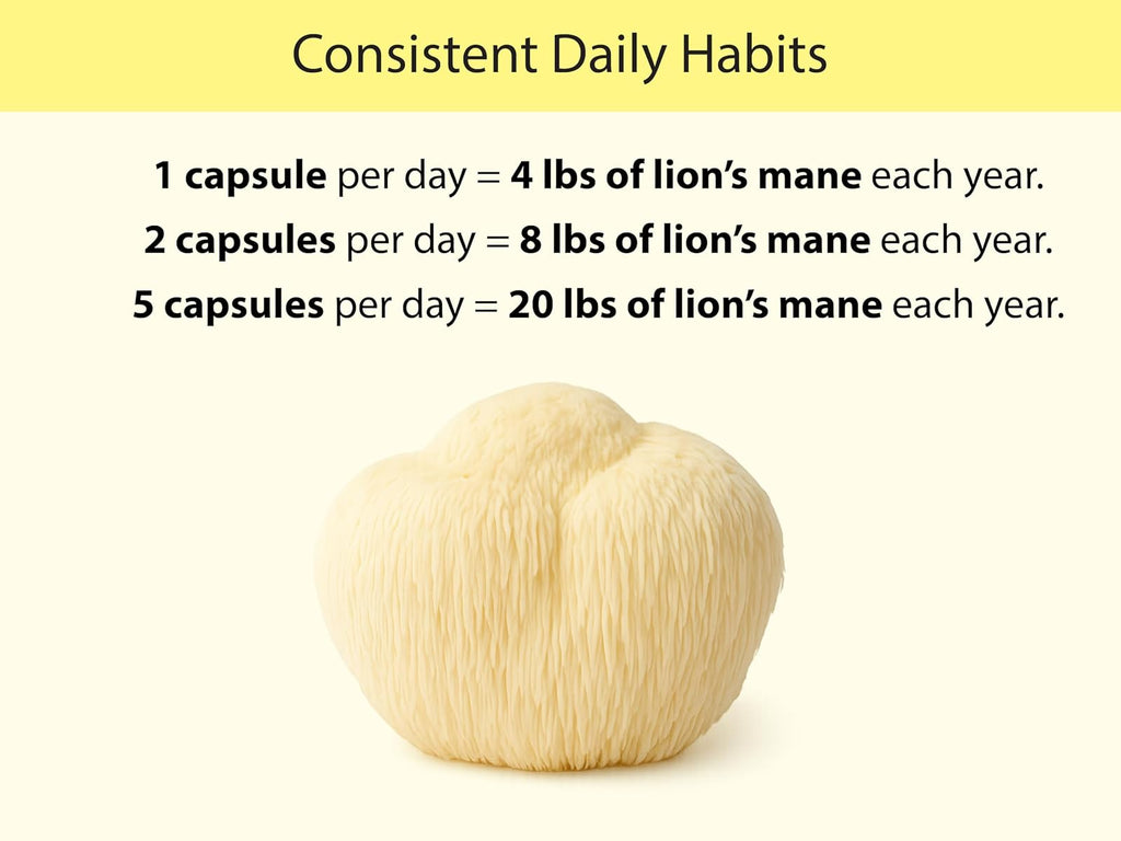 adaptogenic lion's mane for stress relief