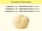 adaptogenic lion's mane for stress relief