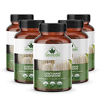 Adaptogenic Lion's Mane for wellness