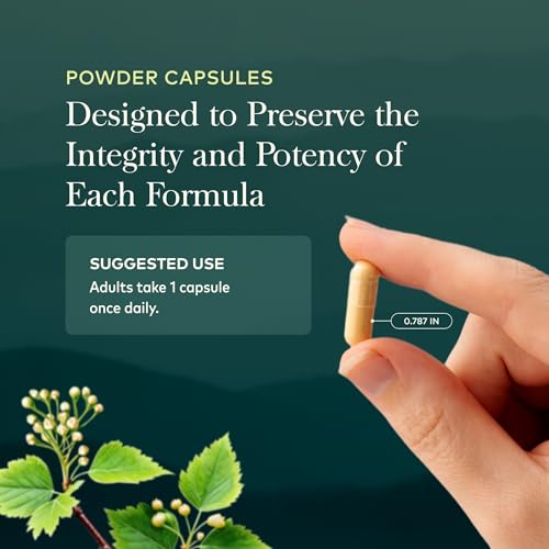adaptogenic lion's mane mushroom extract
