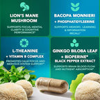 Adaptogenic Lion's Mane mushroom extract