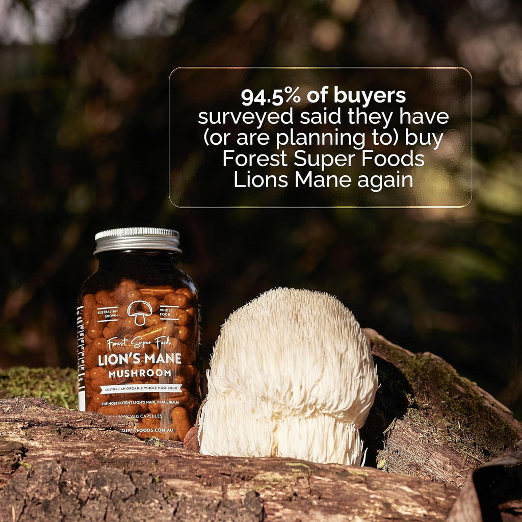 adaptogenic lion's mane mushroom supplement