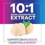 adaptogenic Lion's Mane mushroom supplement