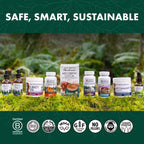 Adaptogenic Maitake mushroom capsules