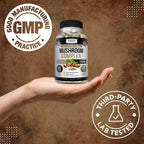 adaptogenic mushroom blend for daily health