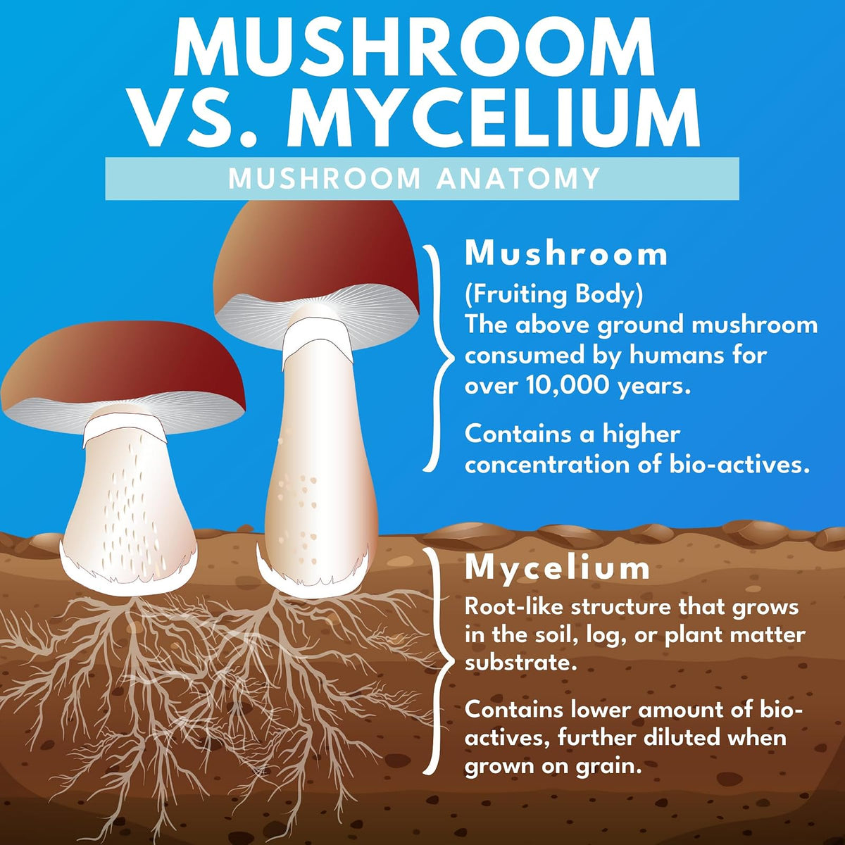adaptogenic mushroom blend for vitality