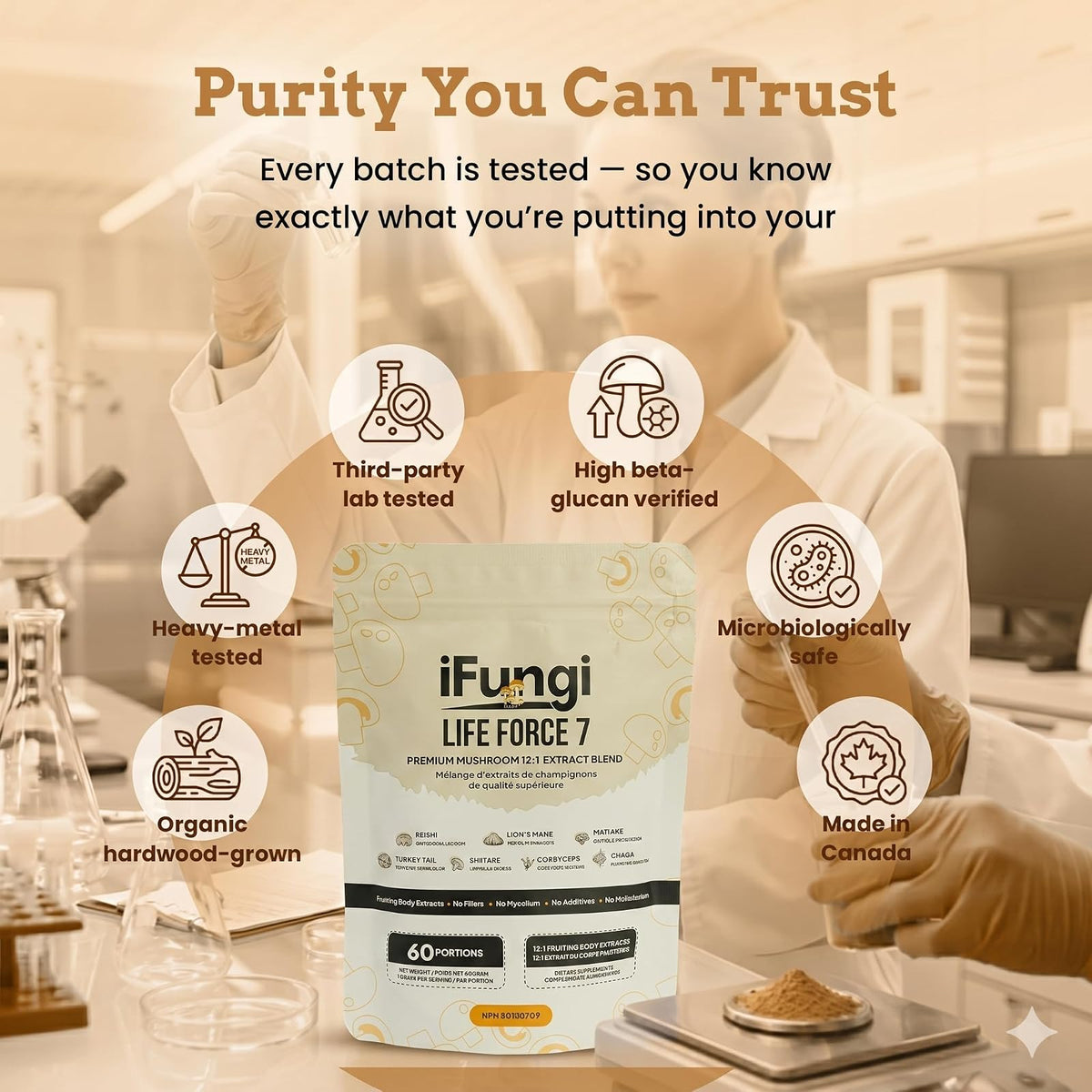 adaptogenic mushroom blend for wellness