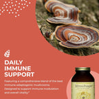 adaptogenic mushroom blend for wellness