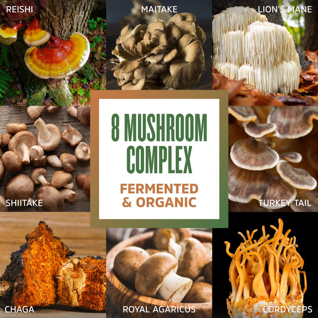 adaptogenic mushroom blends for stress