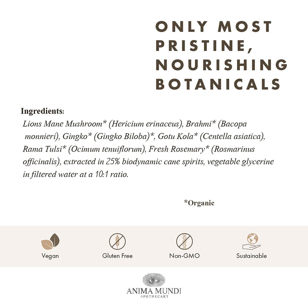 adaptogenic mushroom brain booster