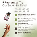 adaptogenic mushroom capsules for wellness