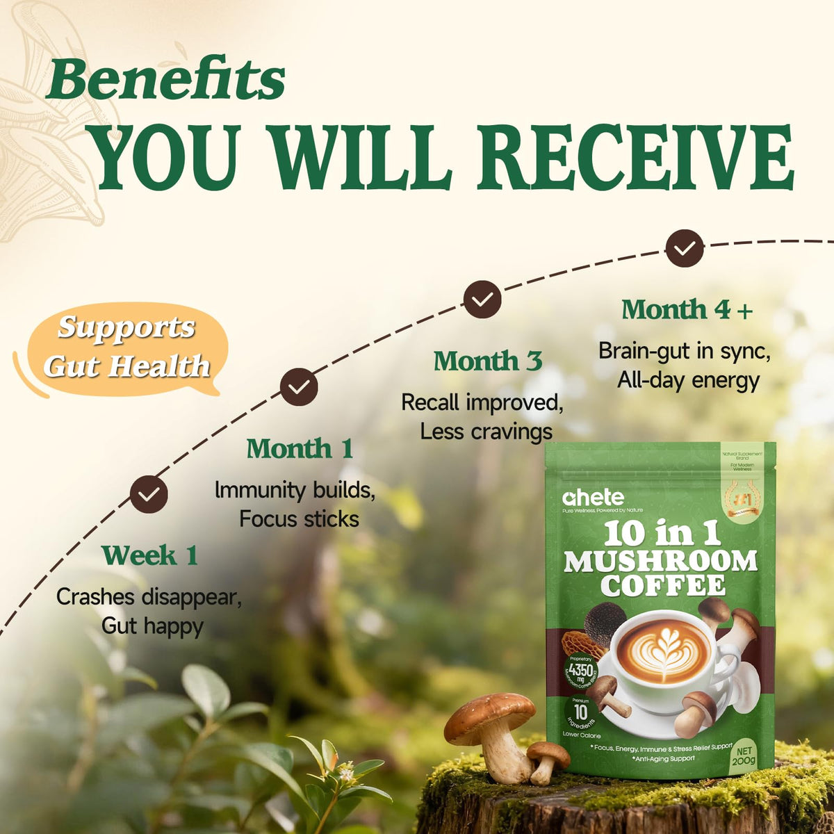adaptogenic mushroom coffee mix