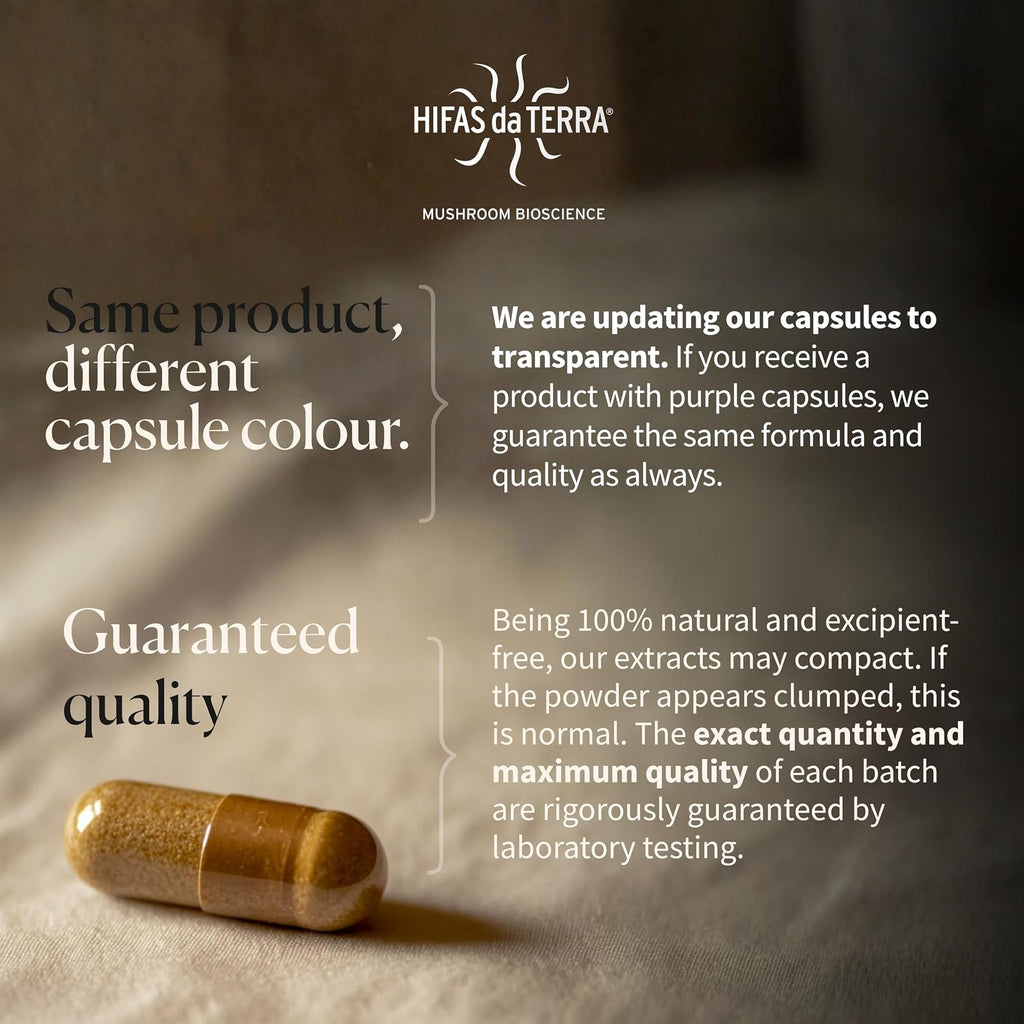 adaptogenic mushroom detox benefits
