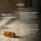 adaptogenic mushroom detox benefits