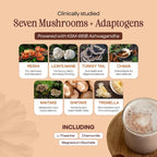 adaptogenic mushroom drink for wellness