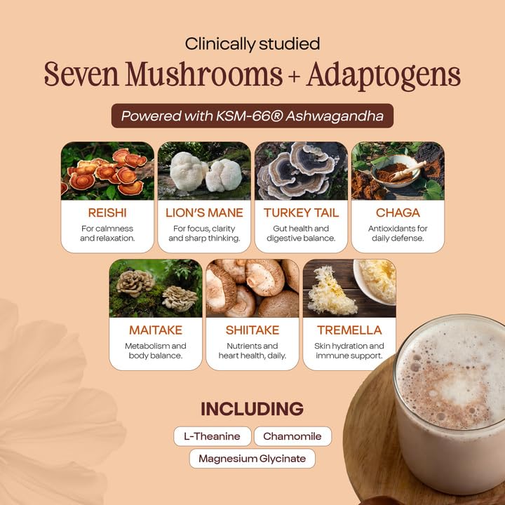 adaptogenic mushroom drink for wellness