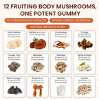 adaptogenic mushroom gummies for stress relief