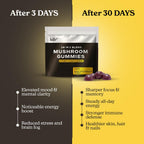 adaptogenic mushroom gummies