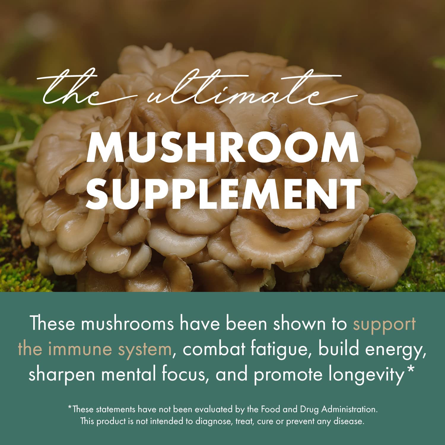 adaptogenic mushroom health benefits