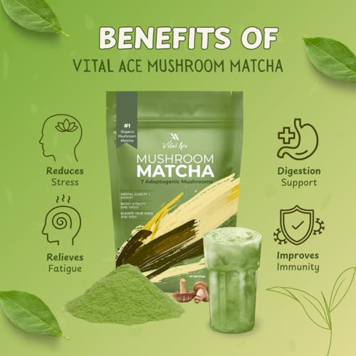 adaptogenic mushroom matcha mix