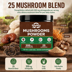 adaptogenic mushroom powder for wellness