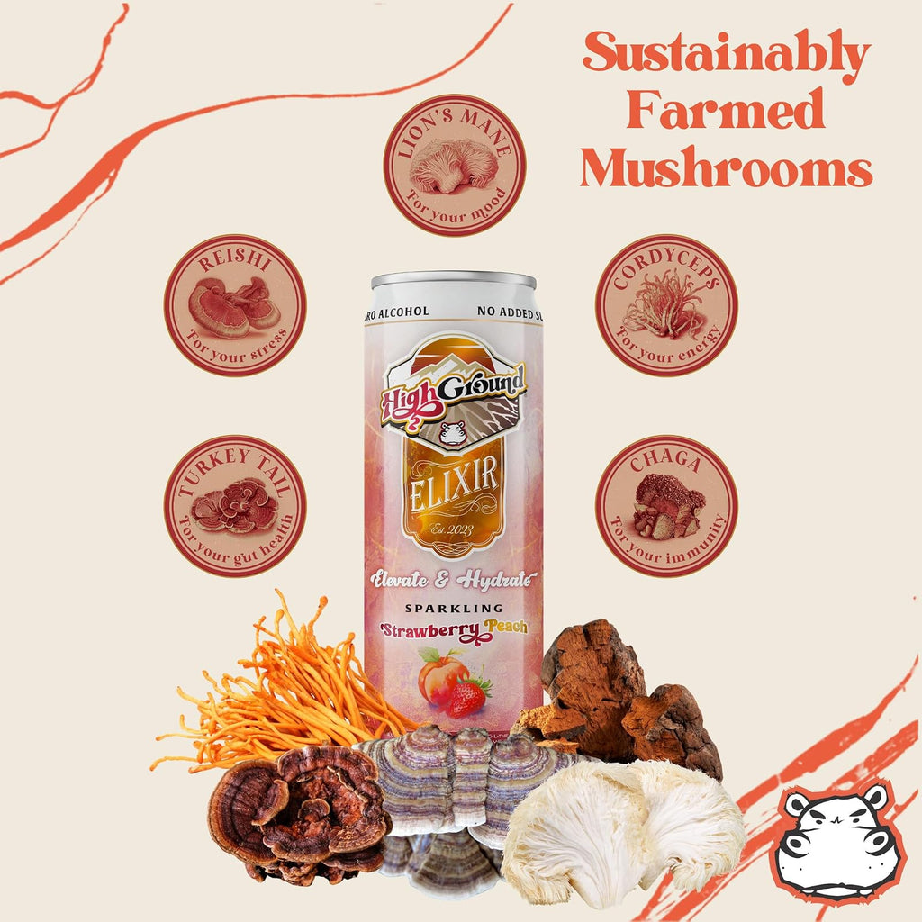 adaptogenic mushroom seltzer for wellness