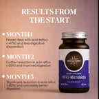 adaptogenic mushroom supplement benefits
