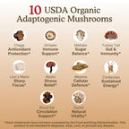 adaptogenic mushroom supplement for stress