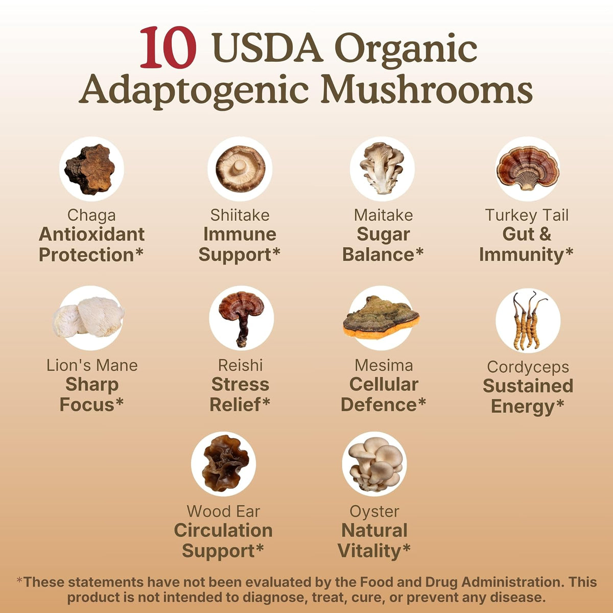adaptogenic mushroom supplement for stress