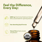adaptogenic mushrooms for daily health
