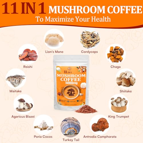 adaptogenic mushrooms for daily wellness