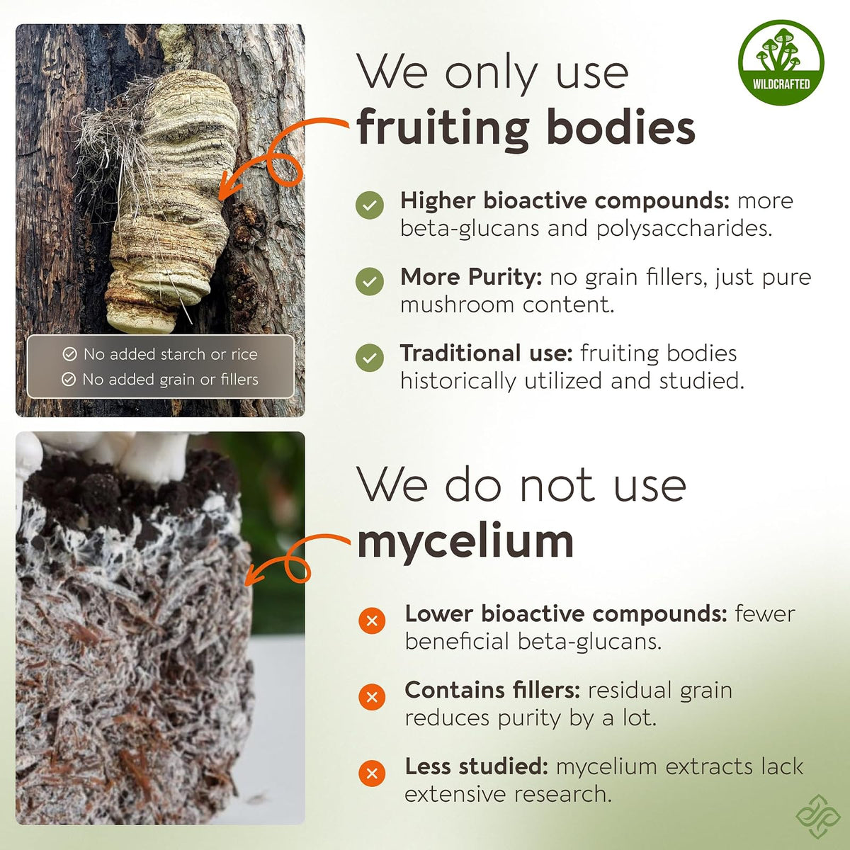 adaptogenic mushrooms for stress relief