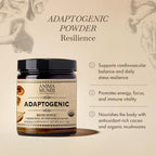 adaptogenic mushrooms for stress relief
