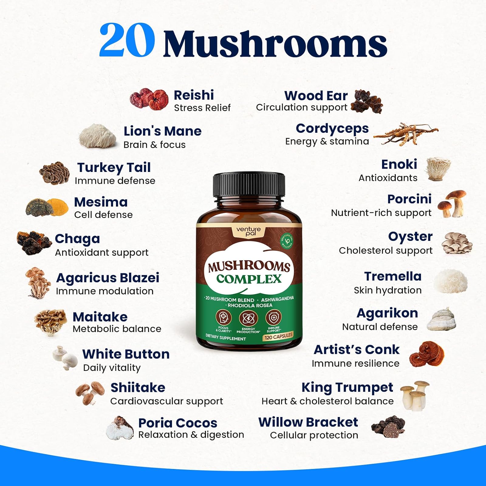 adaptogenic mushrooms for stress relief