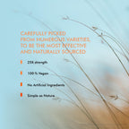 adaptogenic mushrooms for stress relief