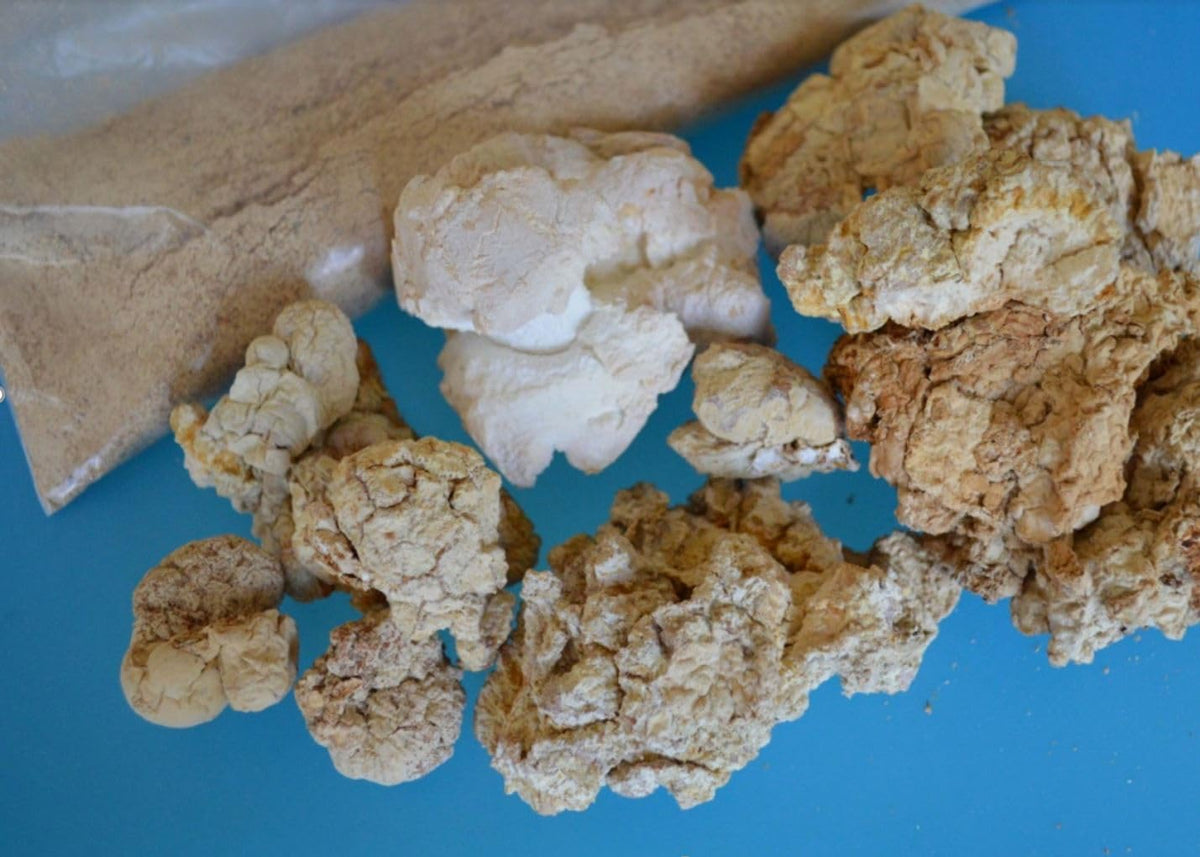 adaptogenic mushrooms for stress relief
