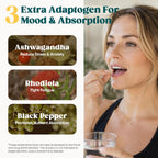 Adaptogenic mushrooms for stress relief
