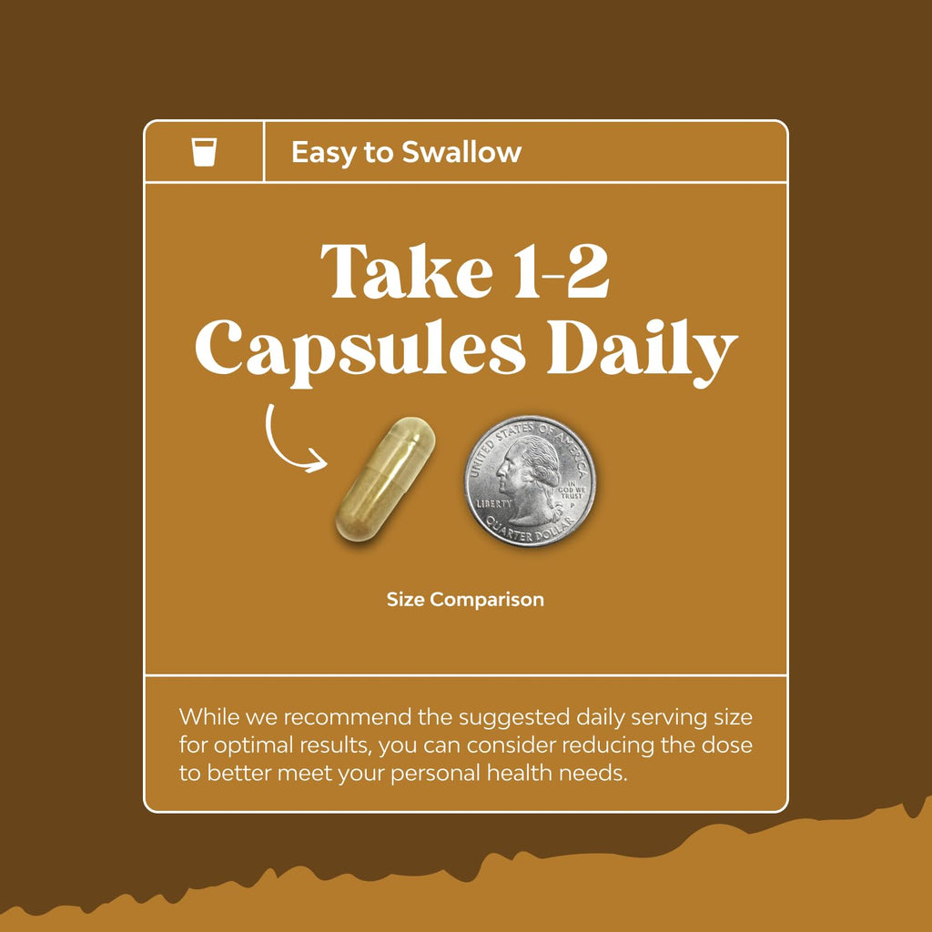 Adaptogenic mushrooms for stress relief