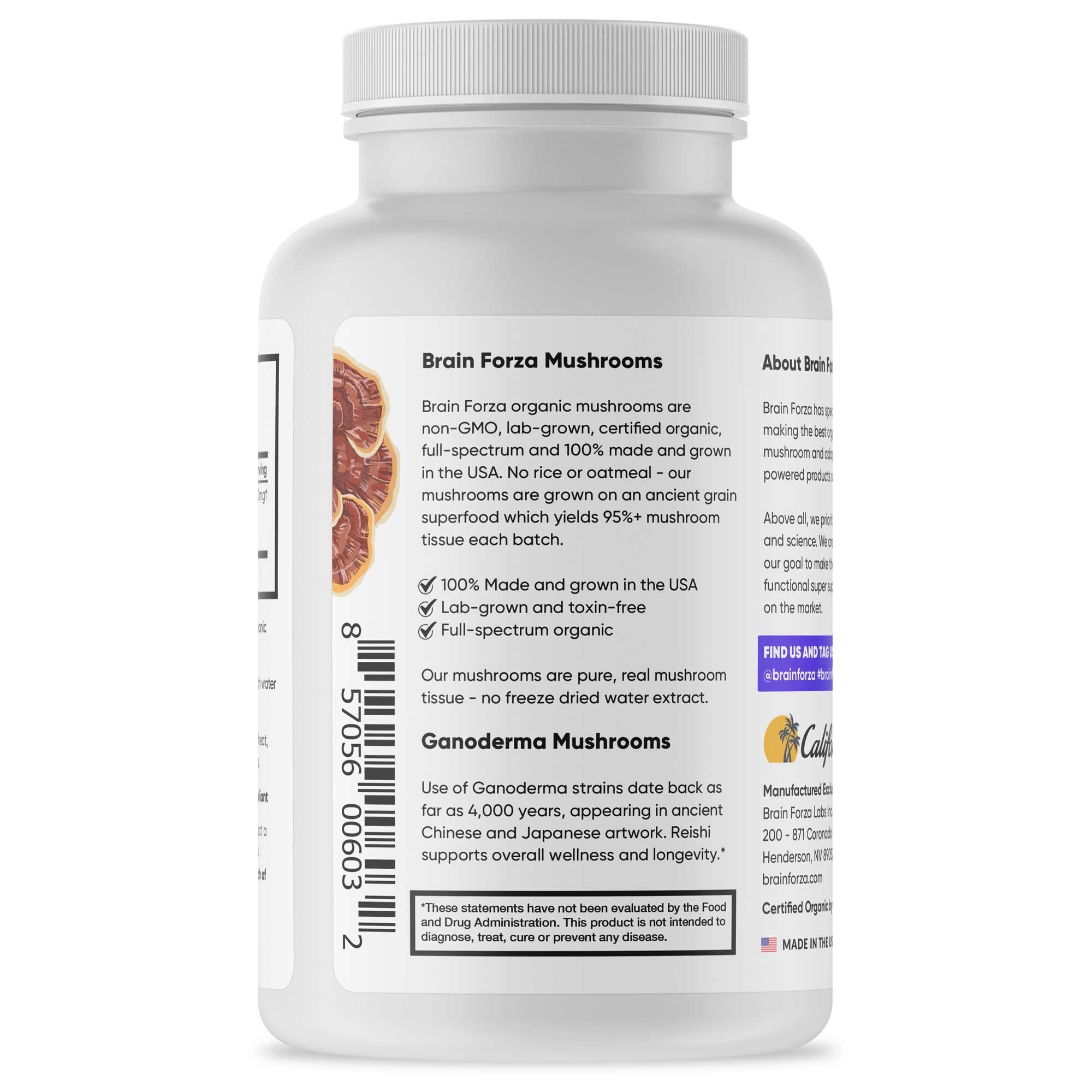 adaptogenic mushrooms for stress relief