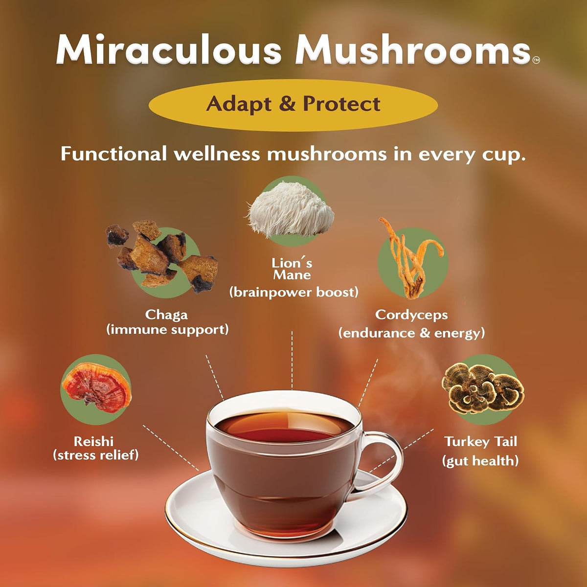 adaptogenic mushrooms for stress relief