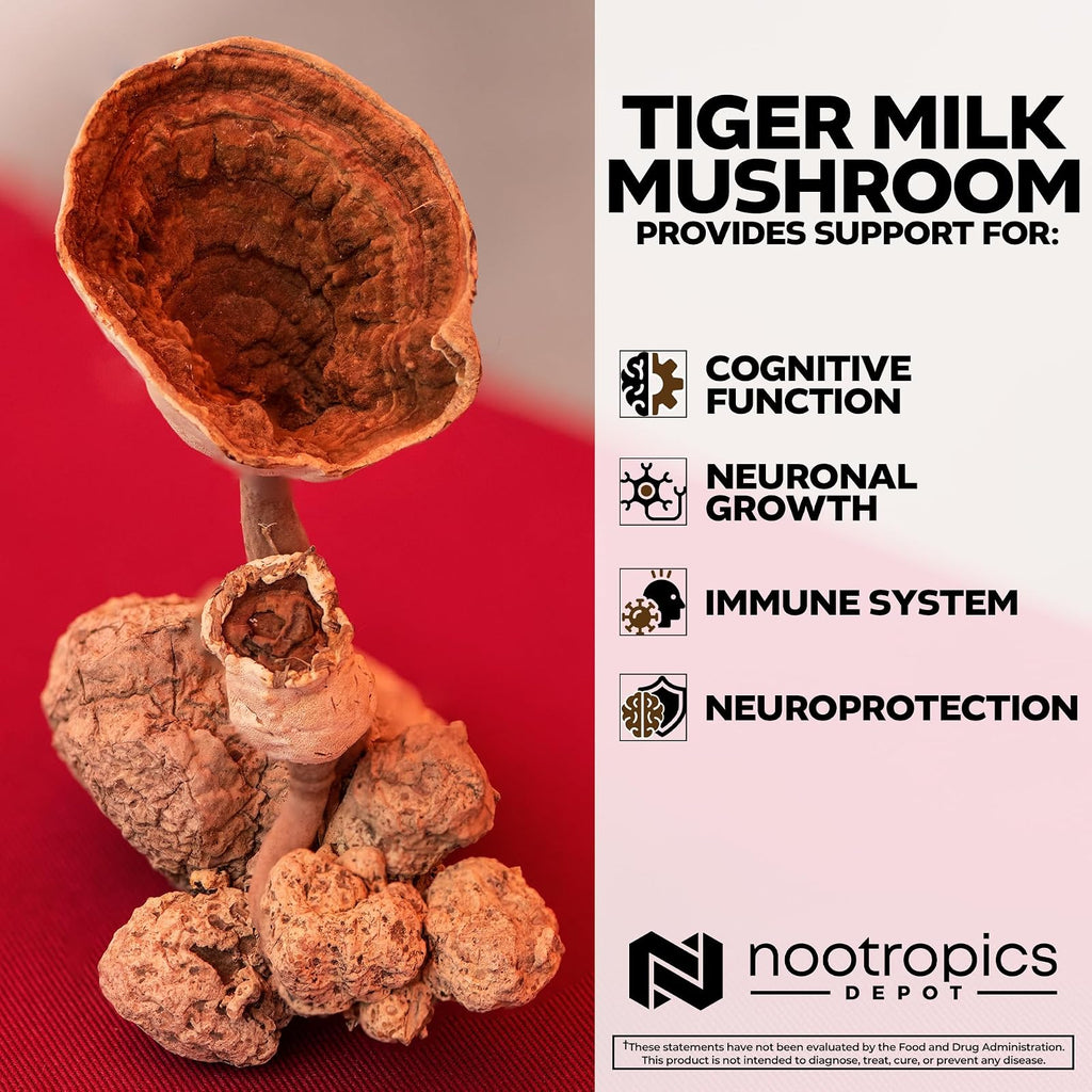 Adaptogenic mushrooms for stress relief