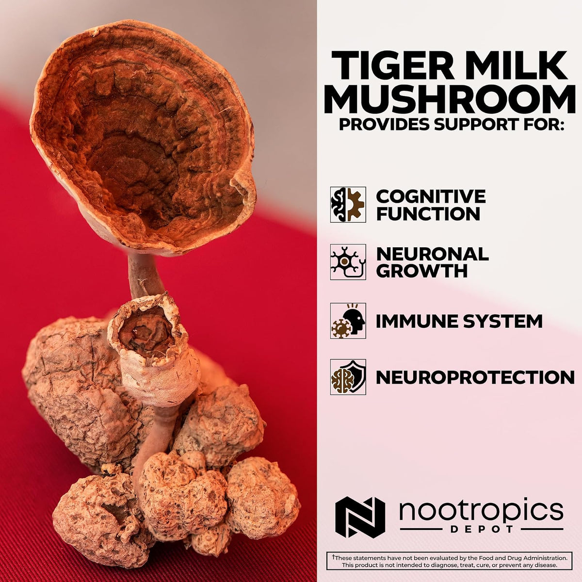 Adaptogenic mushrooms for stress relief