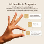 adaptogenic mushrooms for wellness
