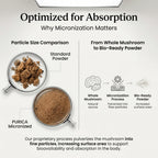 Adaptogenic mushrooms for wellness