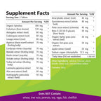 Adaptogenic mushrooms for wellness