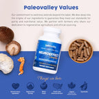 adaptogenic mushrooms for wellness