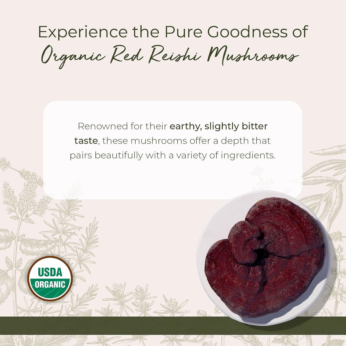 Adaptogenic Red Reishi mushroom benefits